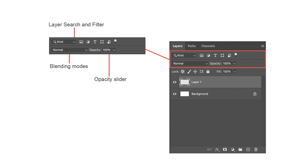 Beginner's guide to Photoshop Layers