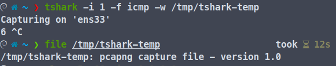 Beginner's Tutorial to Tshark - Yarsa DevBlog